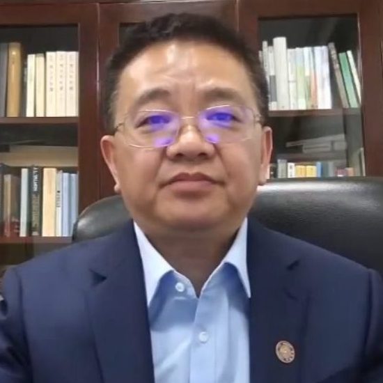 Seeking Global Cooperation to Navigate the AI-Driven Digital ...